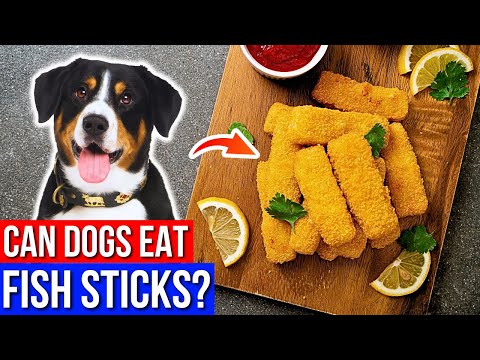 Can Dogs Eat Fish Sticks? - Are Fish Sticks Dangerous for Dogs?
