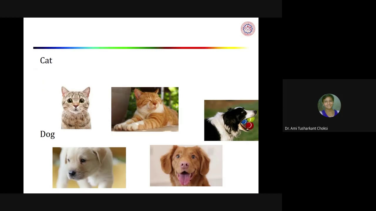 Data Mining Functionalities DM Lecture2