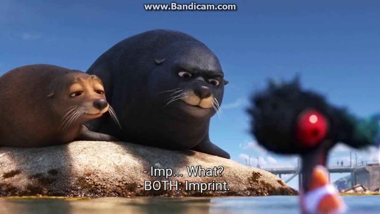Finding Dory Cutscene 3