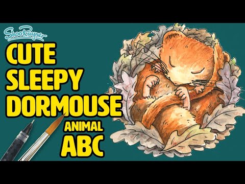 How to draw a Cute, Sleepy Dormouse and paint in watercolour – Animal ABC – Shoo Rayner