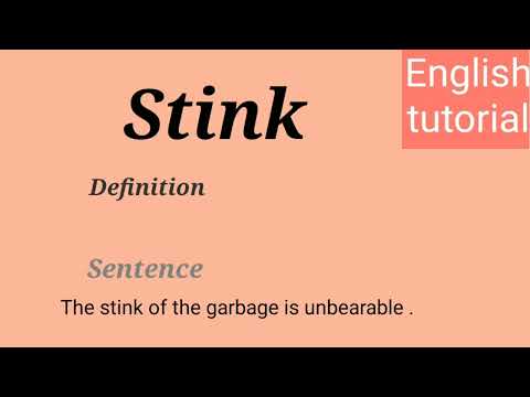 stink, stinky /word of the day /English Vocabulary /daily used English words /@englishtutorial9237