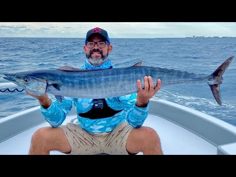 CRAZY WAHOO ACTION! Offshore fishing in Miami FL with Captain Nestor Alvisa. Pathfinder 2700 Open