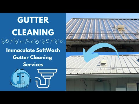 Why is Gutter Cleaning Important?