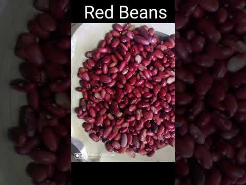 Beans - Vocabulary