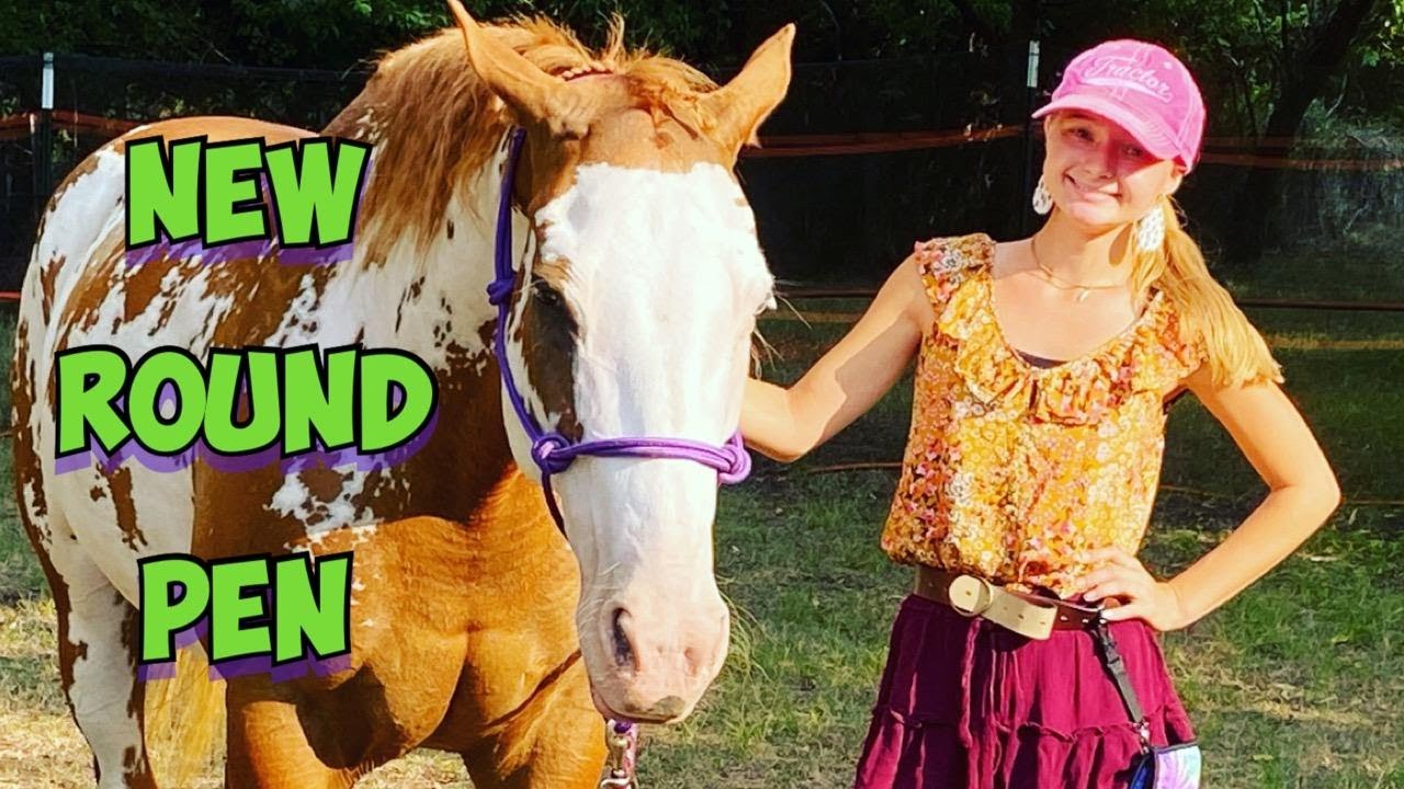 NEW DIY Round Pen Project | Ground Work For Horses