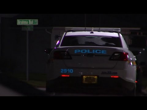 Man shot, killed by officers in ‘bizarre’ encounter on Northside: JSO