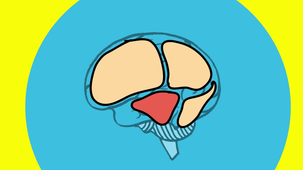 Closure Principle -A Scientific Explanation