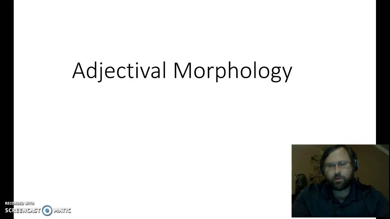 #17 Adjectival Morphology