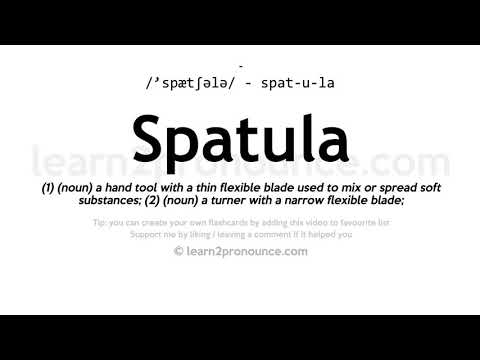 Spatula pronunciation and definition