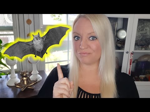 Spiritual Meaning of Seeing a Bat | Symbolic Significance of Bats (Animal Omens and Symbolism)