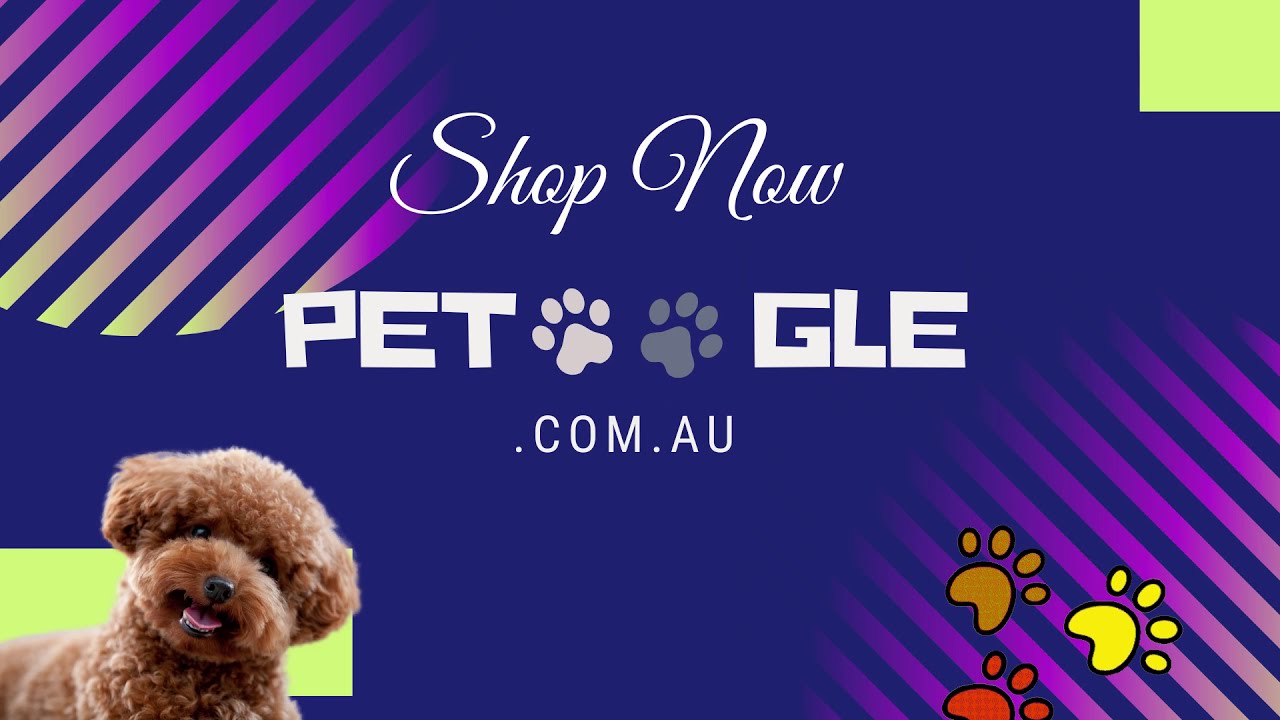 Handmade Luxury Dog Collars for your pets