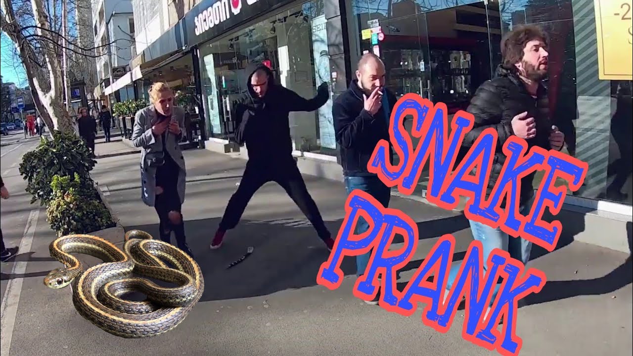 FUNNIEST SNAKE PRANK EVER *MUST WATCH* | TRENDING NOW