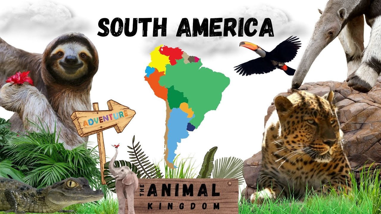 Discover 30 South American Animals: Fun Learning for Kids