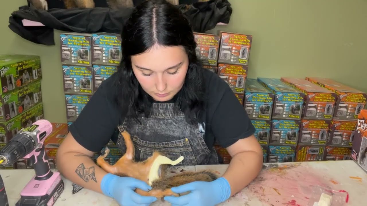 Ellzey's Squirrel Mounting Kit for Beginners - Running down position