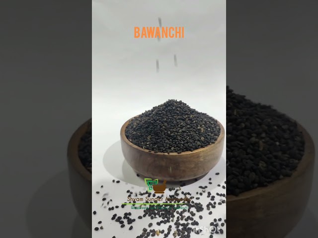 Herbal Seed - Babchi Seeds Bavanchi Seeds Wholesale Trader from Hyderabad