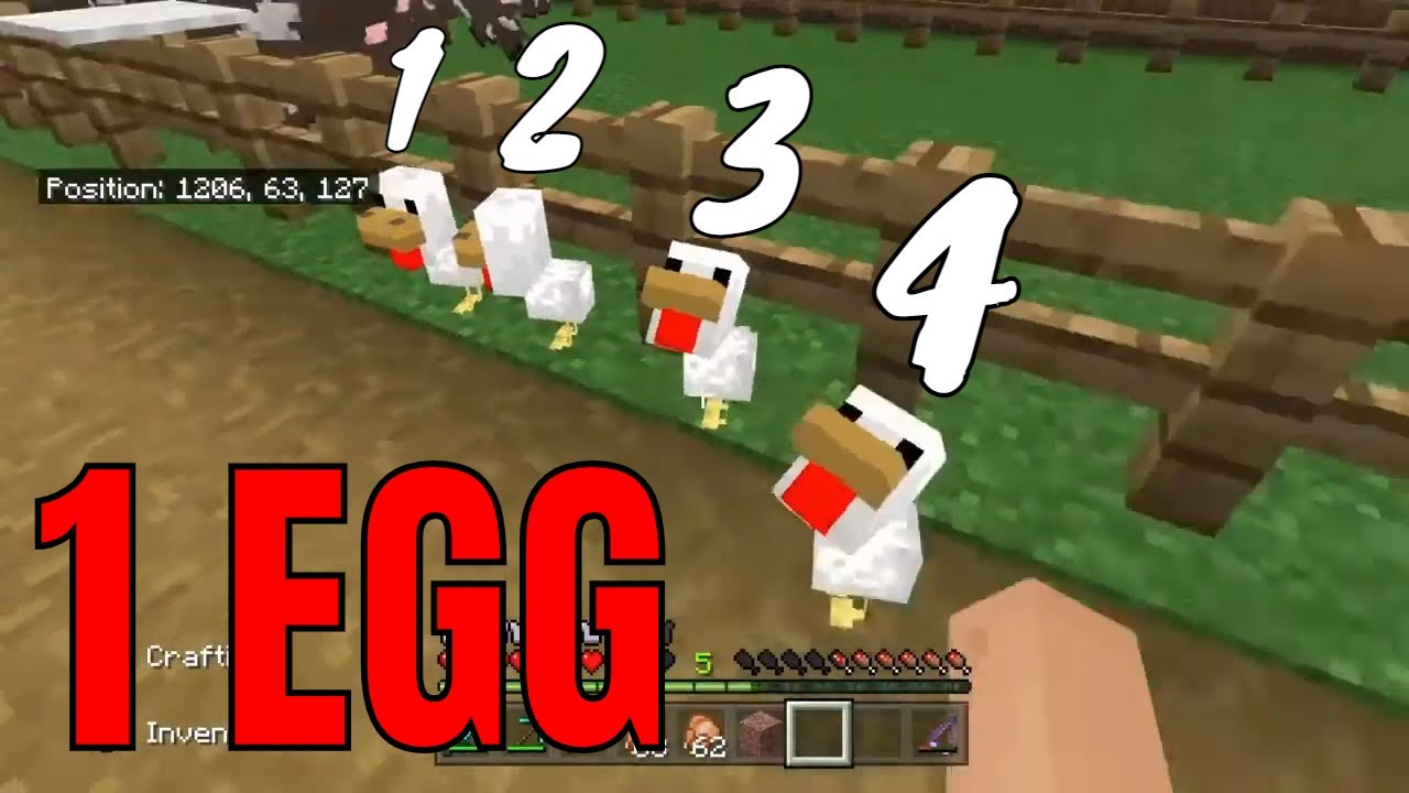 I got 4 chickens from 1 egg in Minecraft