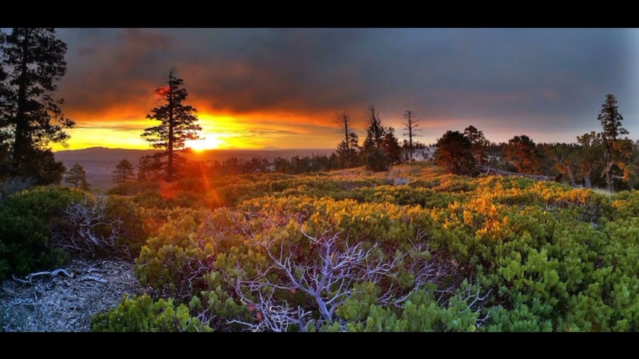 HD sun colorful nature wallpapers