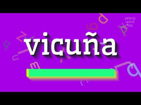 How to say "vicuña"! (High Quality Voices)