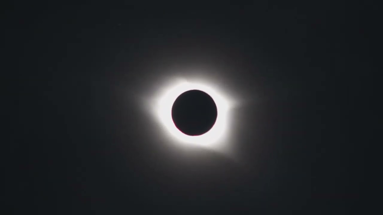 Top 30 Best Black and White Wallpapers for Wallpaper Engine 2026