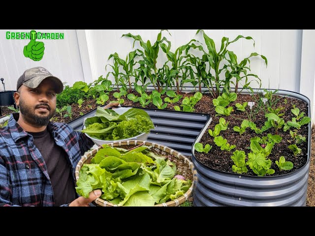 Judge.me YouTube video placeholder