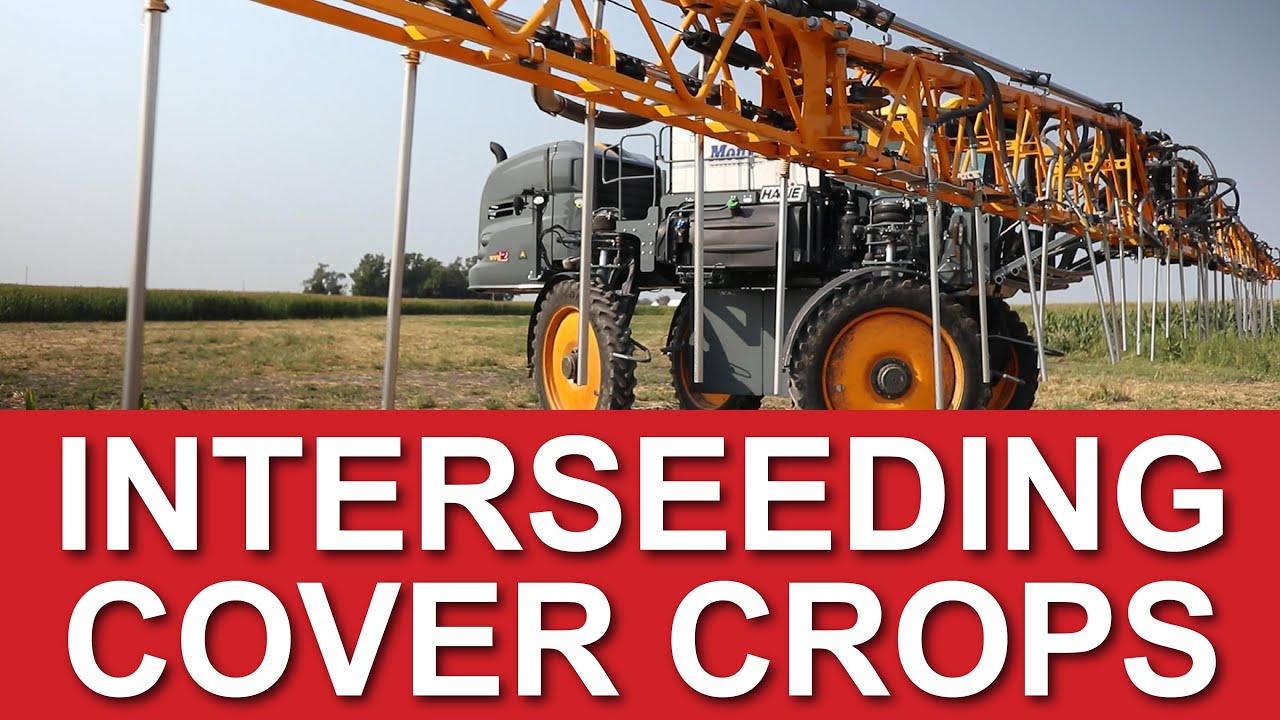 Interseeding Cover Crops with a Highboy Interseeder