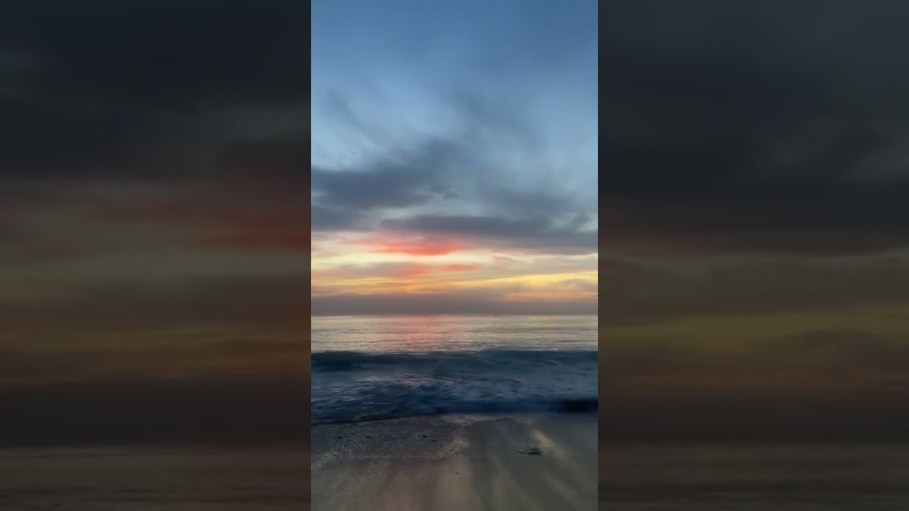 4K Live wallpaper #fypシ #livewallpaper #beach #sunset #videowallpaper #nature #naturewallpaper