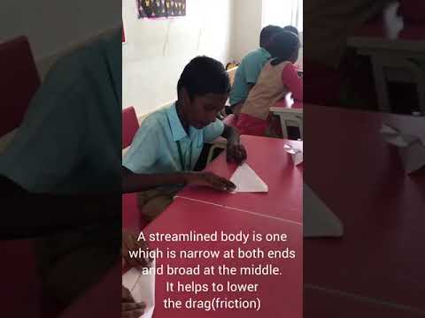Life Science | Streamlined body | Grade V