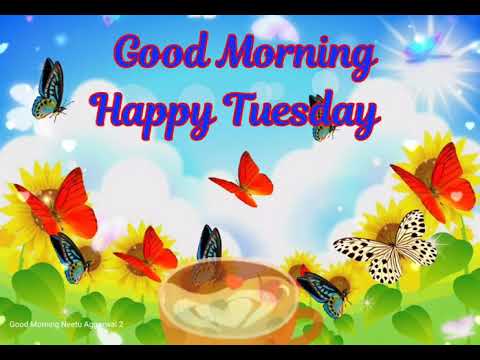 Happy Tuesday Wishes,Happy Tuesday Whatsapp Status Video,Happy Tuesday Gifs,Happy Tuesday E-Card