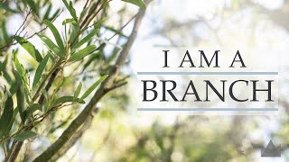I Am A Branch week 4 - Lubbock First Church of the Nazarene