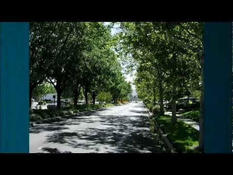 Chapter 2: Why Train Young Trees?