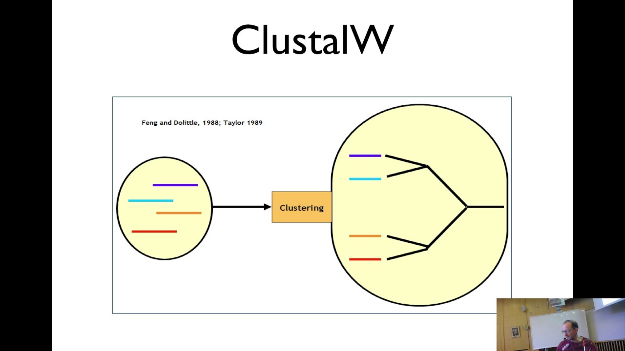 Discussion about multiple sequence alignments