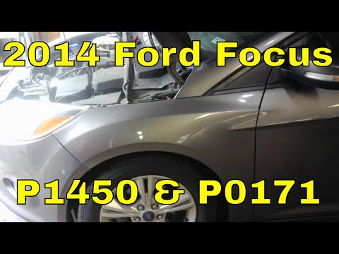 2014 Ford Focus P1450 and P0171