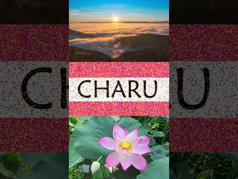 ☀️ CHARU - HINDU girl names | CHARU Name WhatsApp Status | #Shorts
