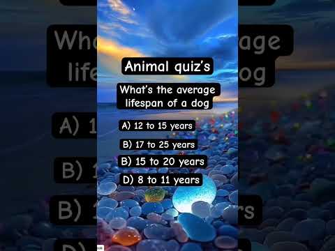 What’s the average lifespan of a dog?