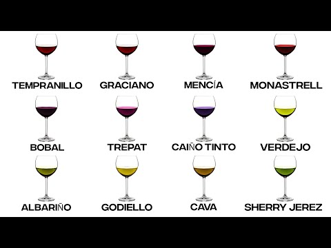 Some say Spanish wine is better than Italian wine, I explain every Spanish wine here.