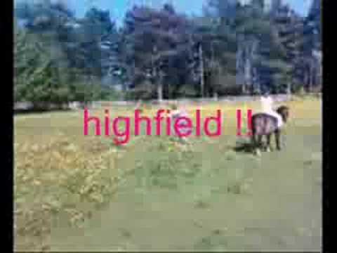 highfield's barmy army