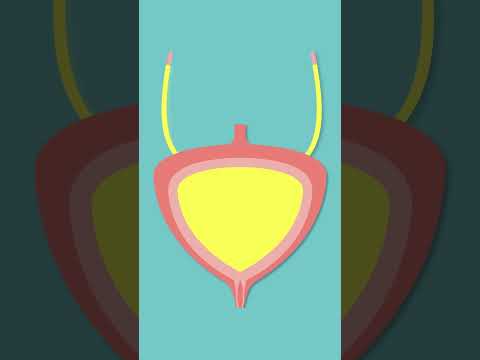 What is urinary retention? #urinaryretention #bladder #healthandwellness