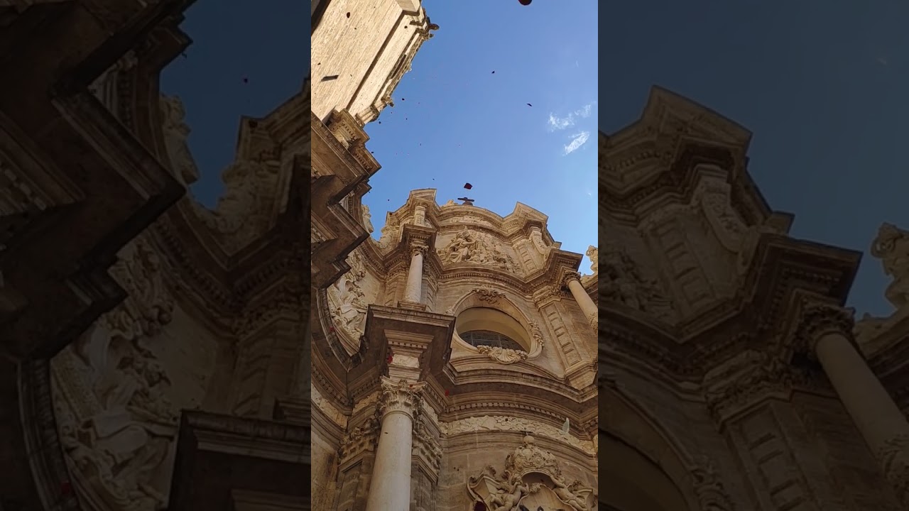 Petalada Virgen Desamparados Valencia Catedral 2025