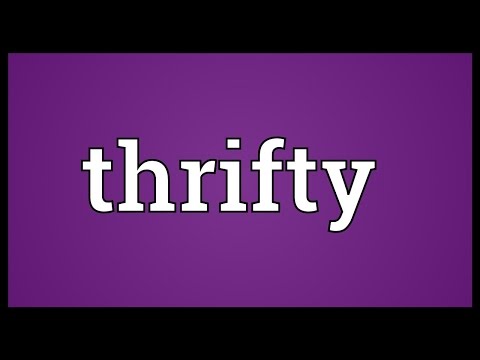 Thrifty Meaning
