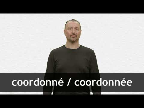 English Translation of “COORDONNÉ” | Collins French-English Dictionary