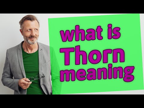 Thorn | Definition of thorn