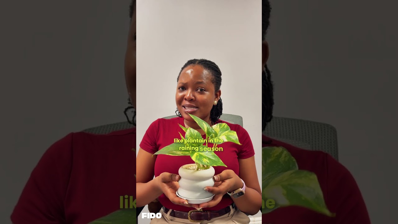 Meet EasySave - Ghana’s most flexible digital savings account, Inside your Fido app. #Ghana #Savings