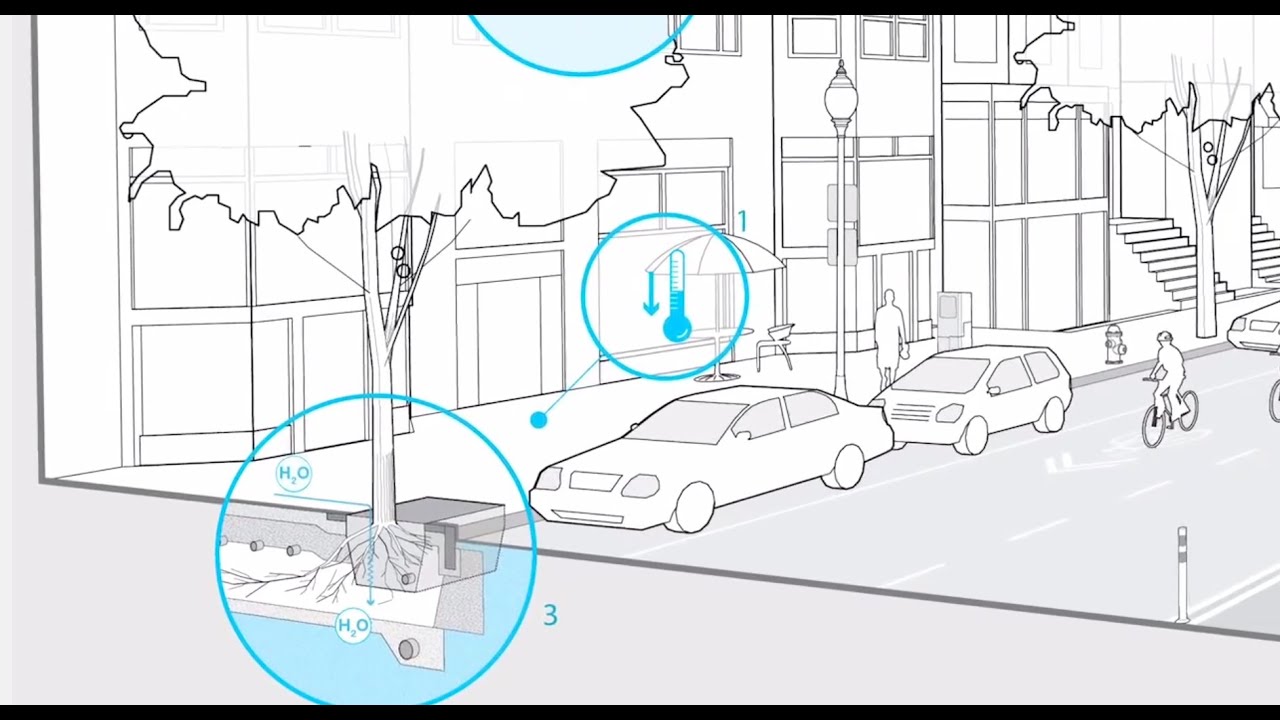 Boston Complete Streets Design Guidelines | APA Awards 2015
