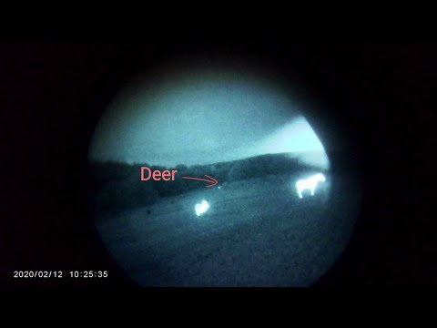 Using thermal overlay to detect a Deer. Jerry C5 mounted on a Pvs14.