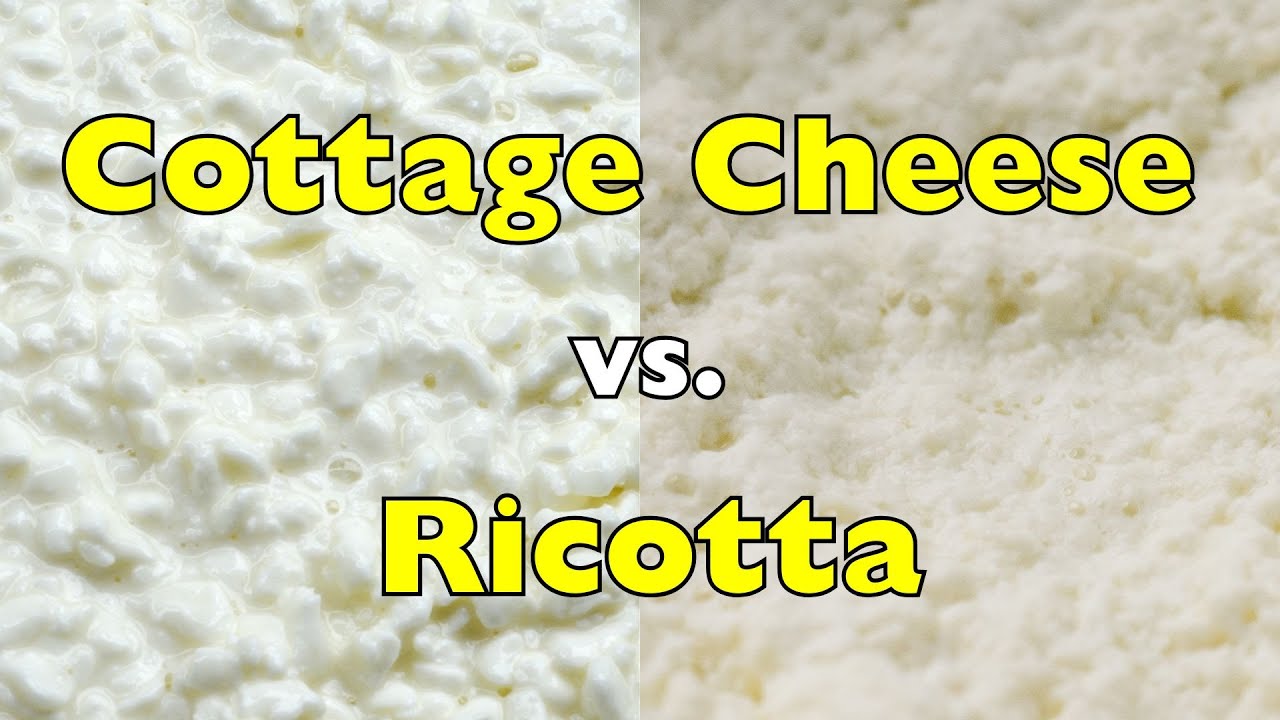 Cottage Cheese vs. Ricotta: The Battle of Soft Cheeses [ID0909]