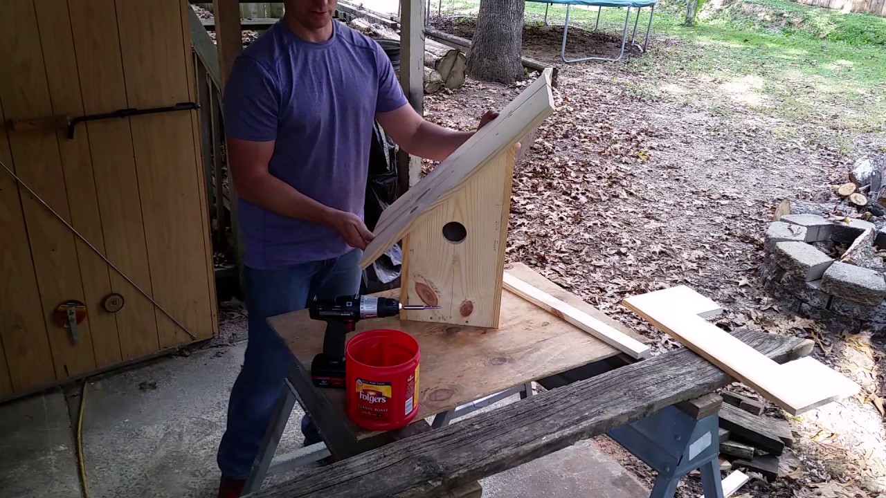 $20 Squirrel House Pt 2
