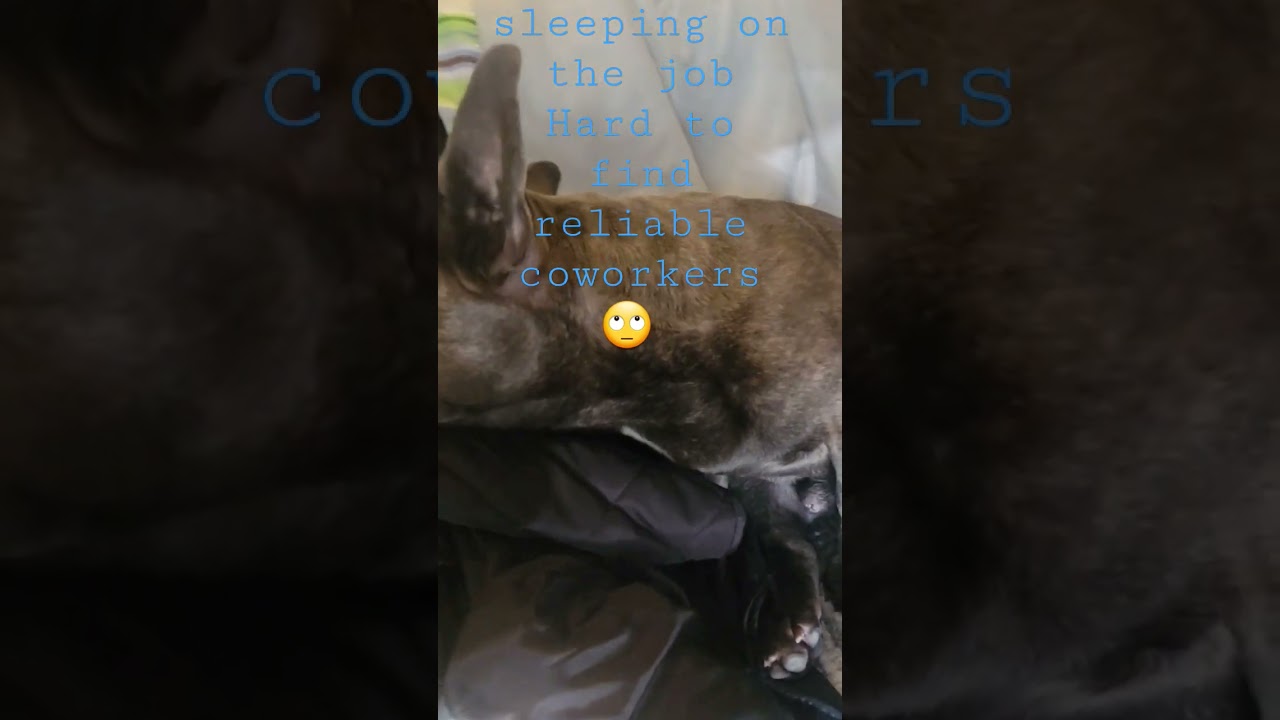 co-worker sleeping on the job