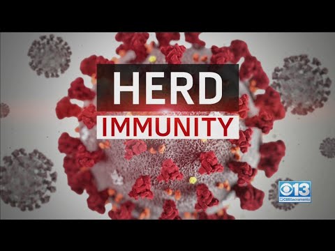 What Is Herd Immunity?