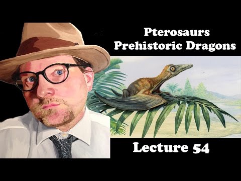 Lecture 54 Pterosaurs Prehistoric Dragons