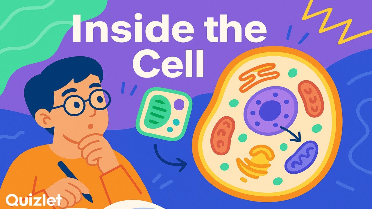 Cell Structure and Function Explained | Biology Crash Course